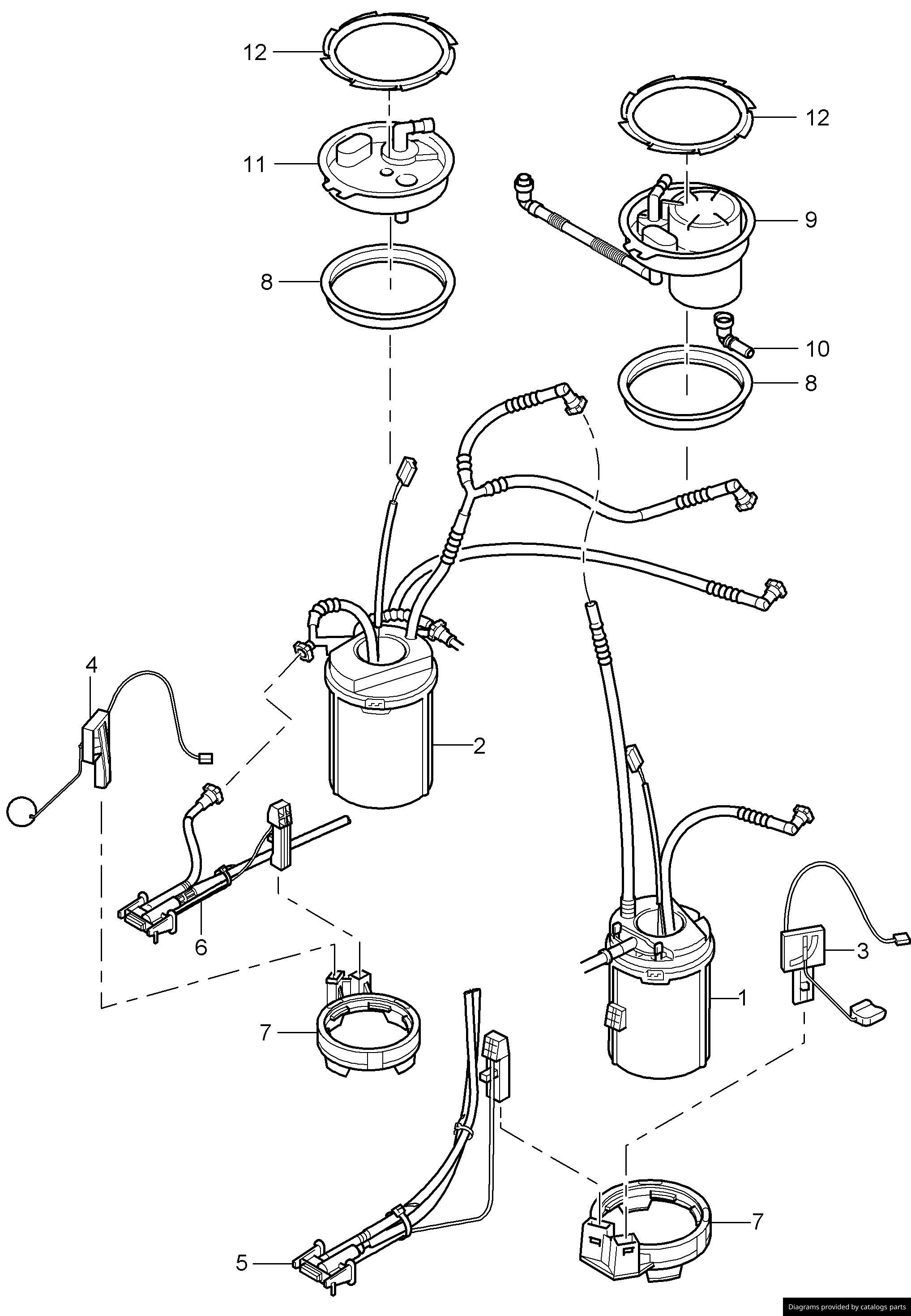 Porsche Union Nut 95520162301 - LLLParts