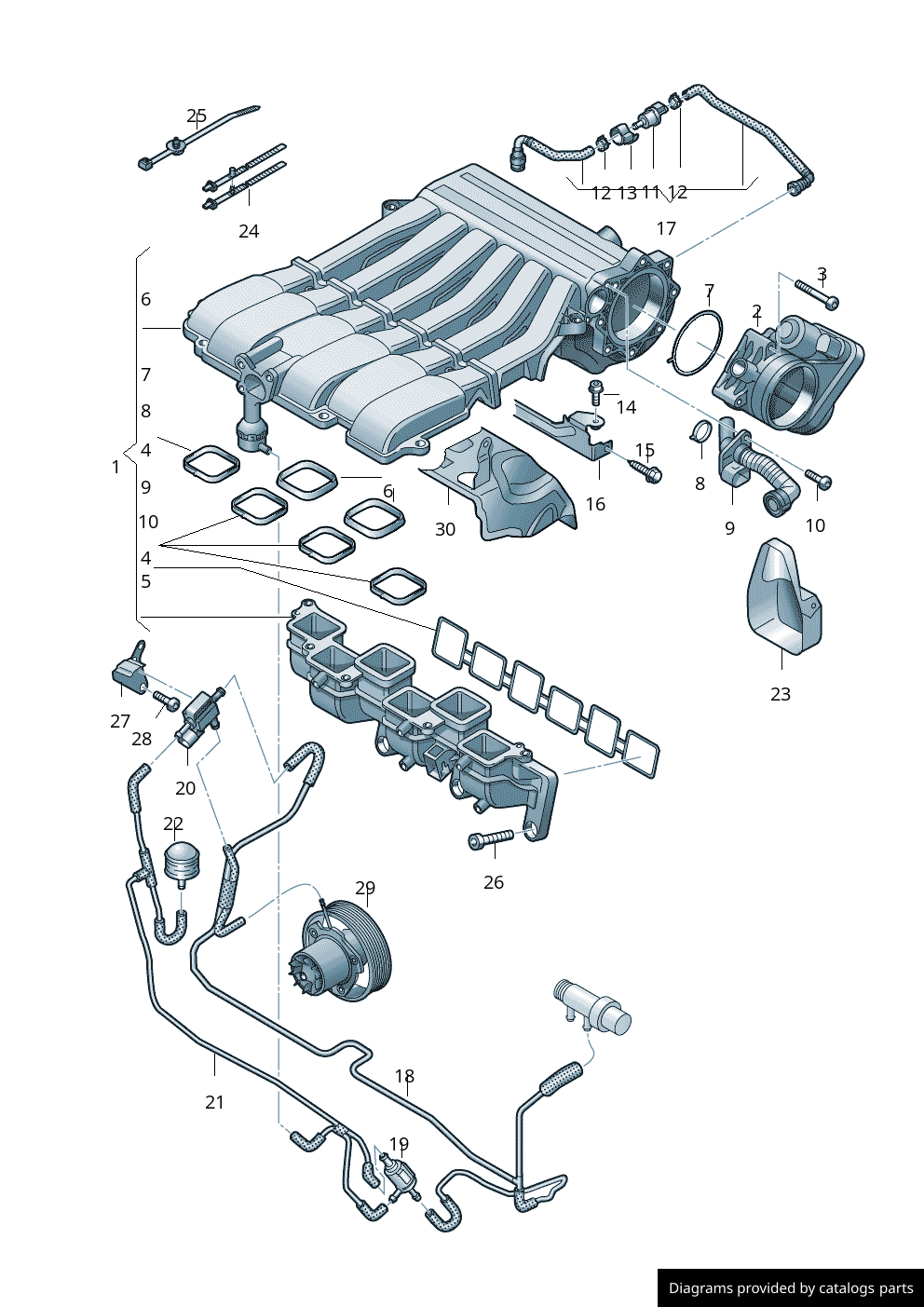 Volkswagen Connecting Hose 3Q0133366K - LLLParts